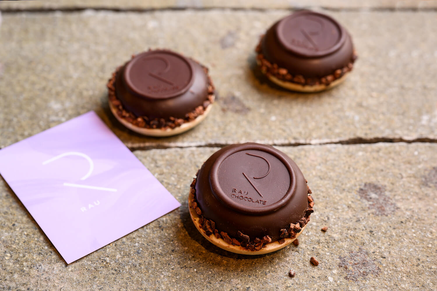 DSC_0201 | online.goodnaturestation